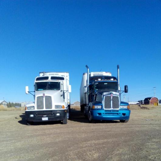 Transportes Borunda en CUAUHTEMOC. Teléfono y más info.