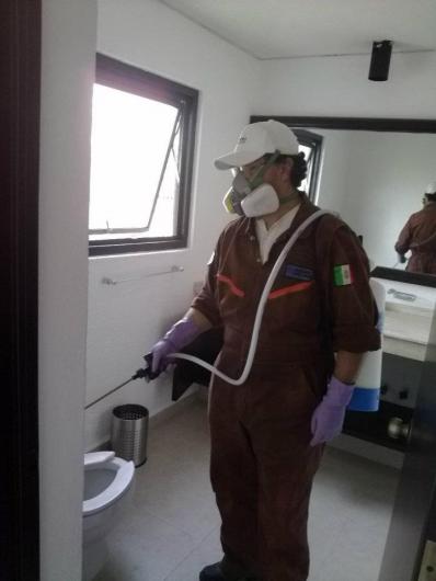 Fumigaciones Rangel DF en Mexico City. Teléfono y más info.