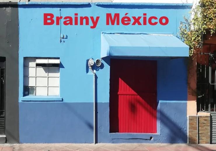 Brainy windows film en SANTIAGO DE QUERETARO. Teléfono y más info.