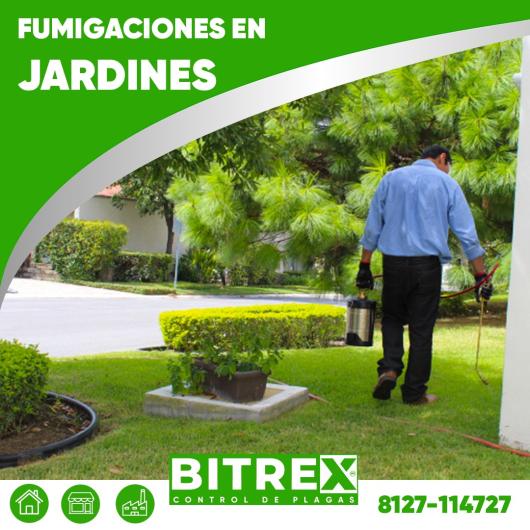 Bitrex Control de Plagas en Monterrey. Teléfono y más info.