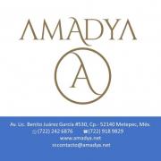 Salón de Eventos Amadya. en METEPEC. Teléfono y más info.